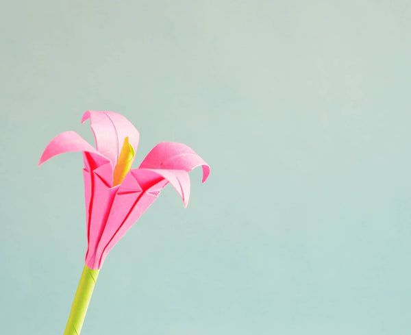 Origami Flower | Nature Wall Murals and Wallpaper - Little Sticker Boy